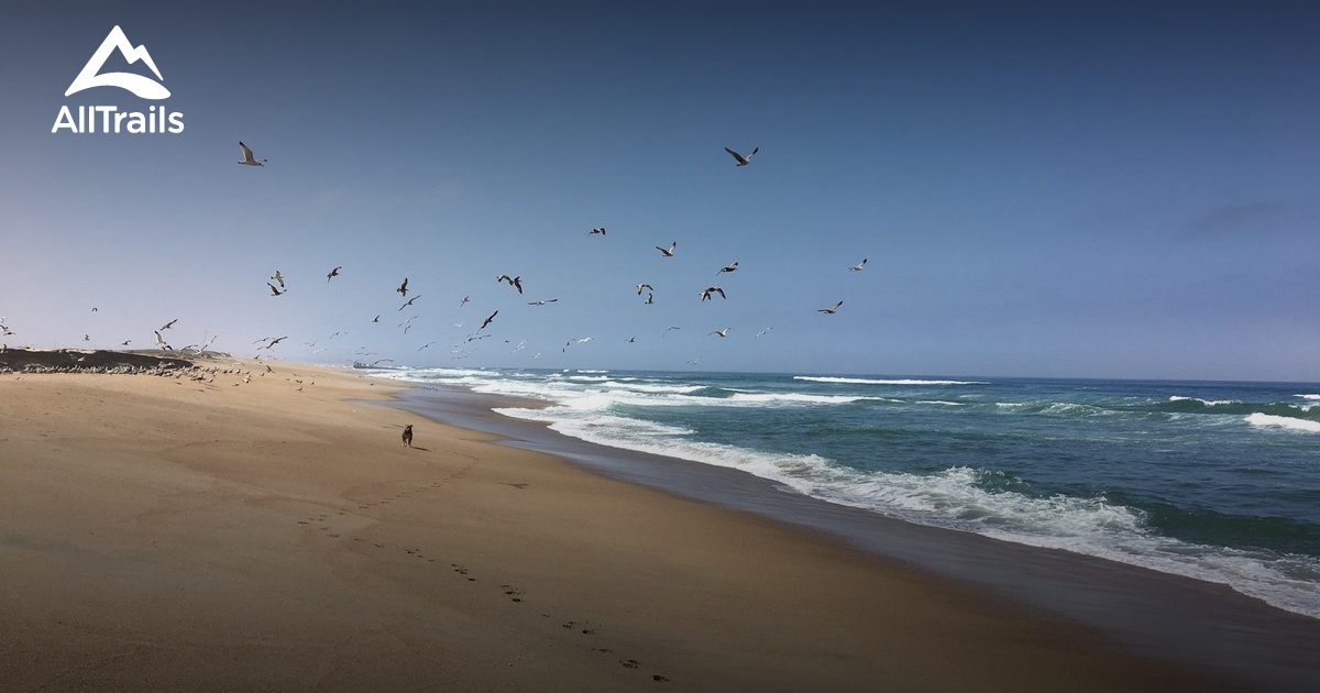 Best Trails in Salinas River State Beach - California | AllTrails
