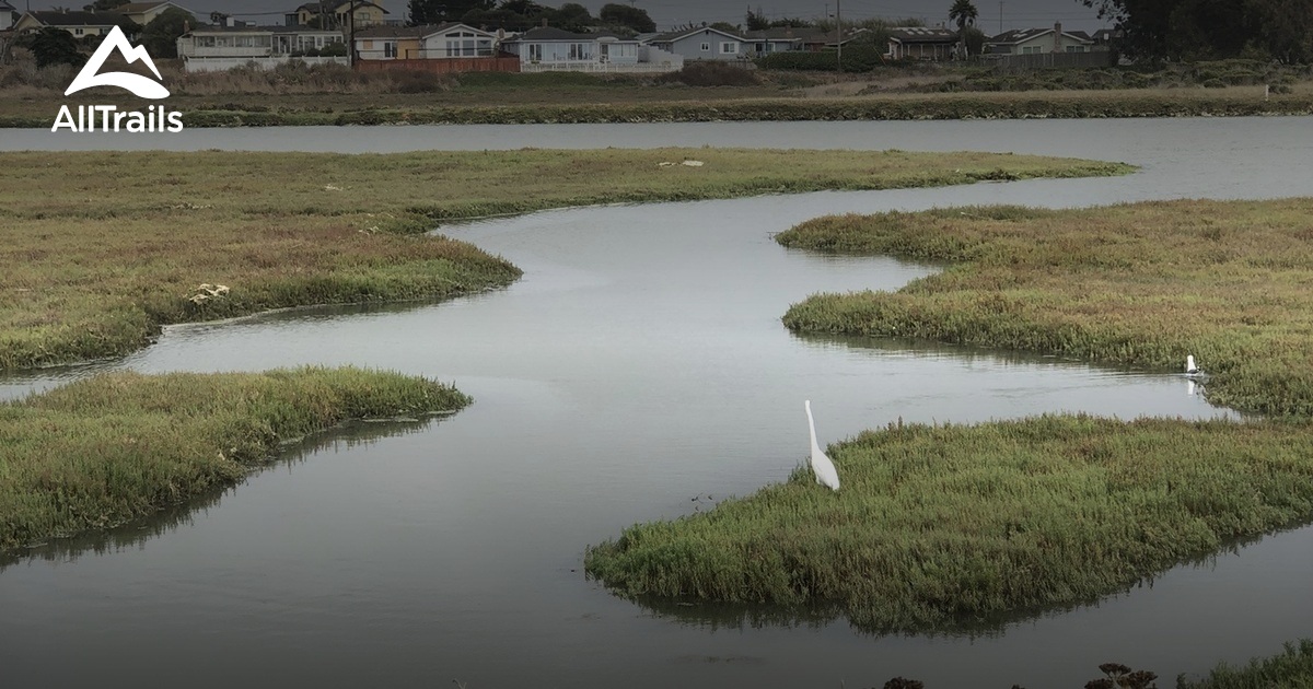 Best river trails in Salinas River State Beach | AllTrails