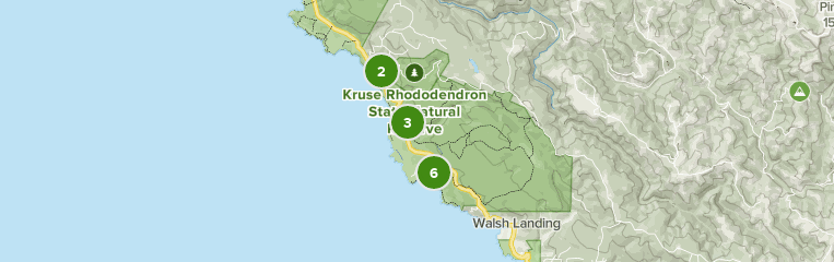 2023 Best 10 Trails in Salt Point State Park | AllTrails