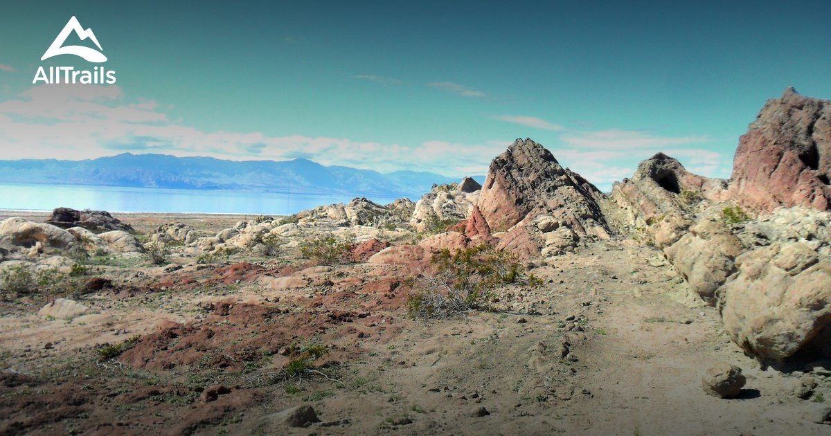 Best Trails in Salton Sea State Recreation Area - California | AllTrails