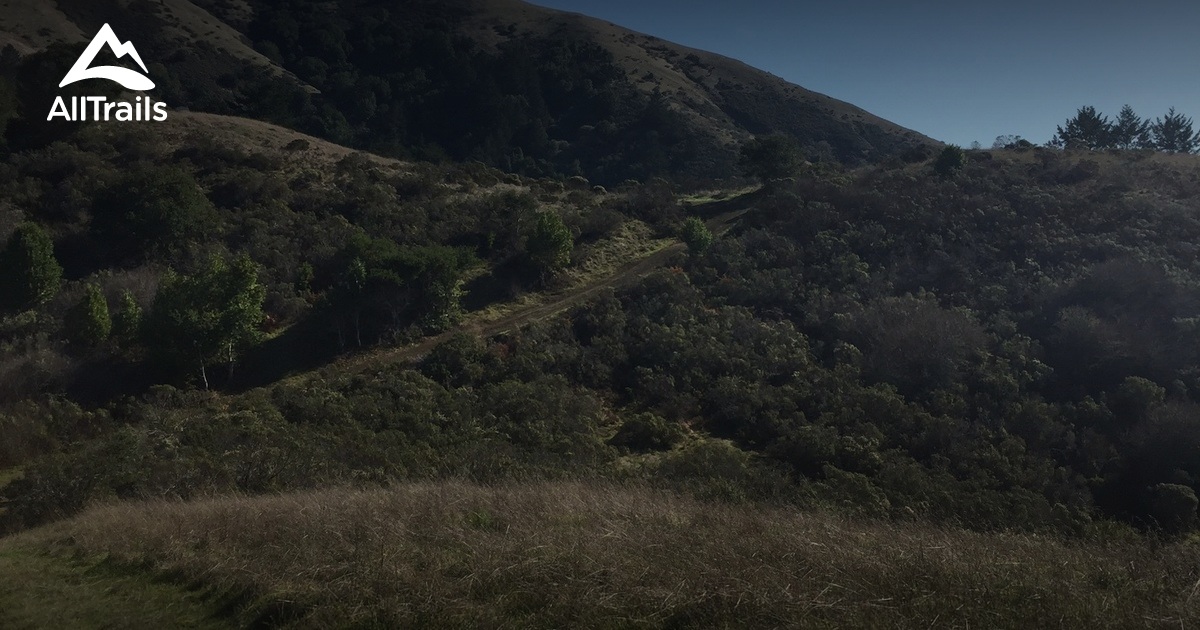 Best Trails in Samuel P. Taylor State Park - California | 204 Photos ...