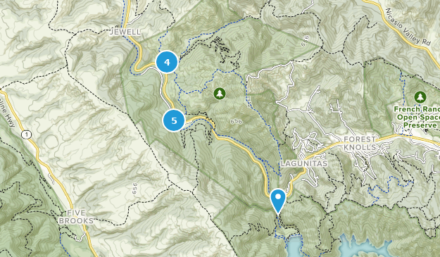 Best Trails in Samuel P. Taylor State Park - California | AllTrails