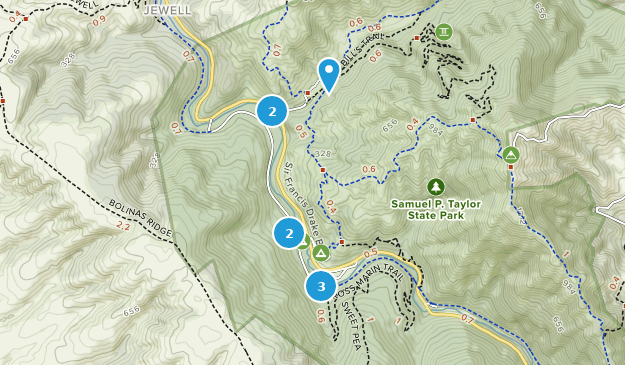 Best Trails in Samuel P. Taylor State Park - California | AllTrails