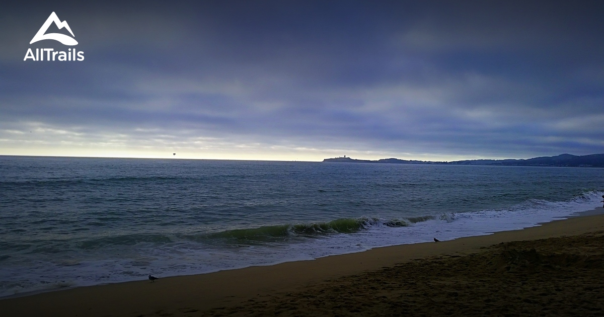 Best Trails in San Gregorio State Beach - California | AllTrails