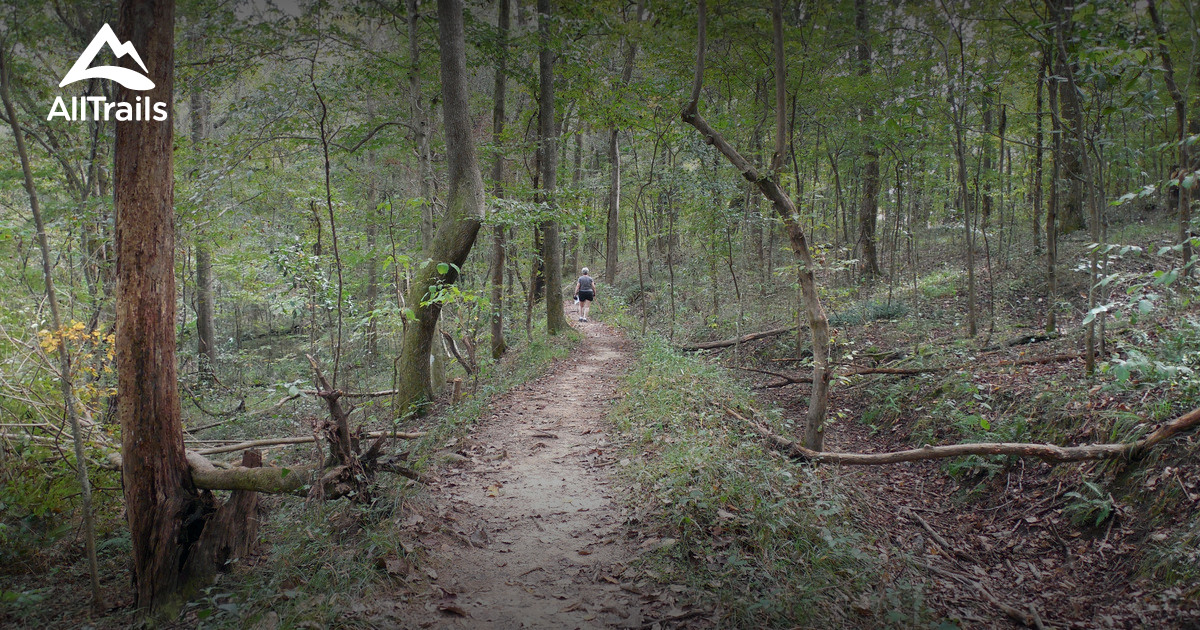 Best views trails in Lake Jackson Mounds Archaeological State Park ...