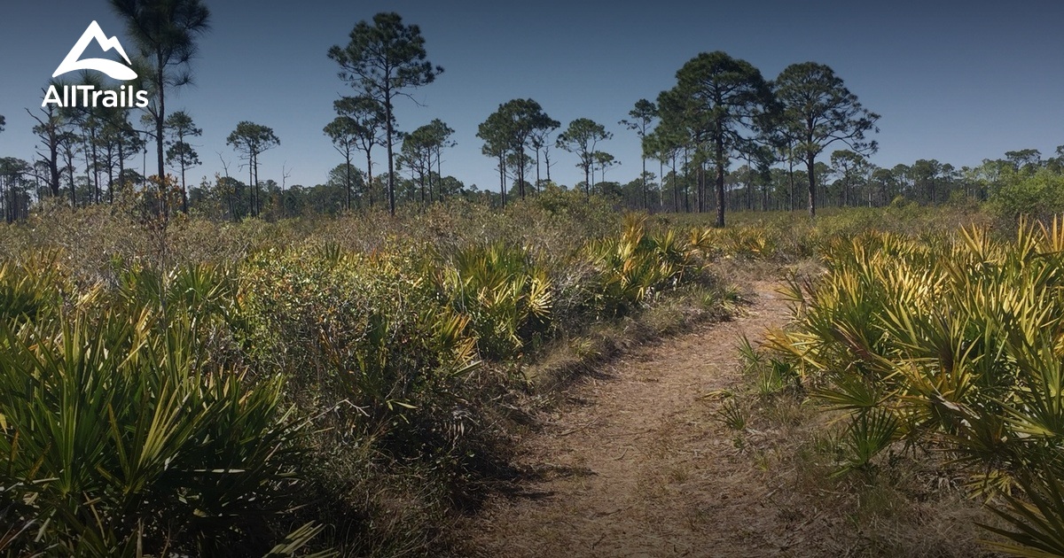 Best trails in Lake Kissimmee State Park, Florida | AllTrails