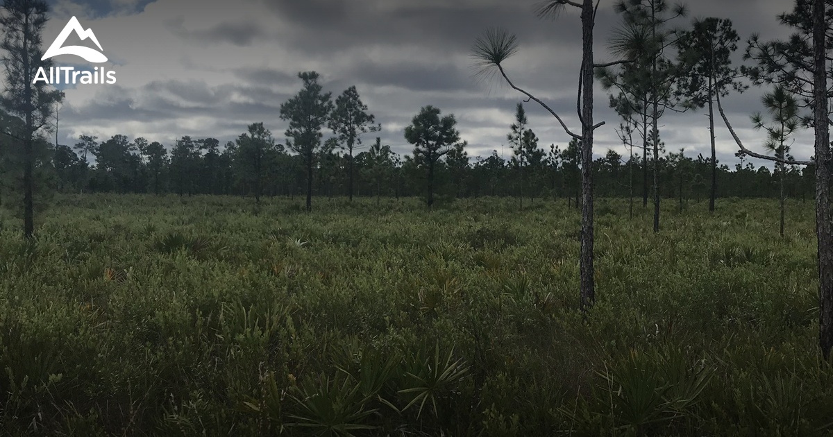 Die Besten Routen mit Aussicht in Lower Wekiva River Preserve State ...