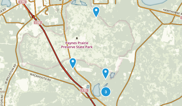 Best Trails in Paynes Prairie Preserve State Park - Florida | AllTrails