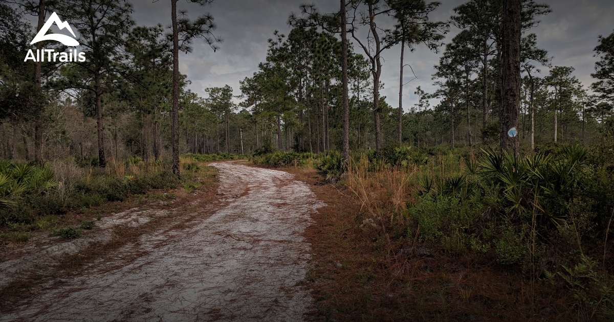 De beste wandelroutes in Pumpkin Hill Creek Preserve State Park | AllTrails