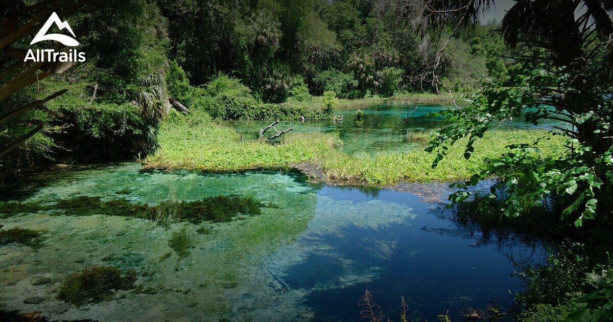 Best hikes and trails in Rainbow Springs State Park | AllTrails