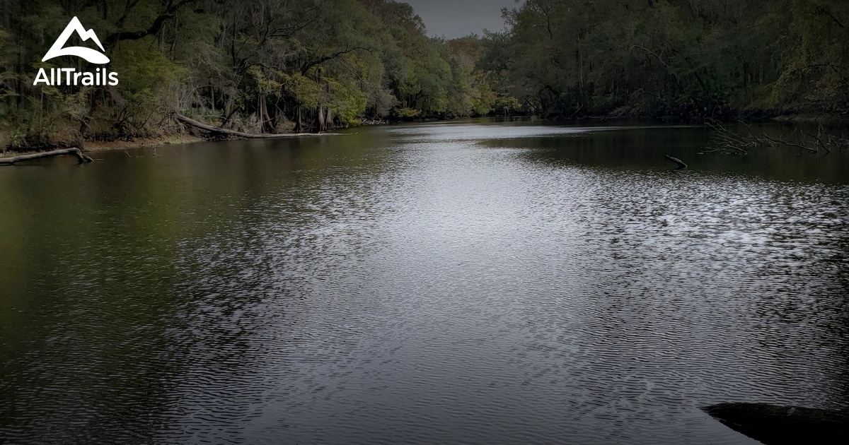 Die Besten Flusswege in River Rise Preserve State Park | AllTrails