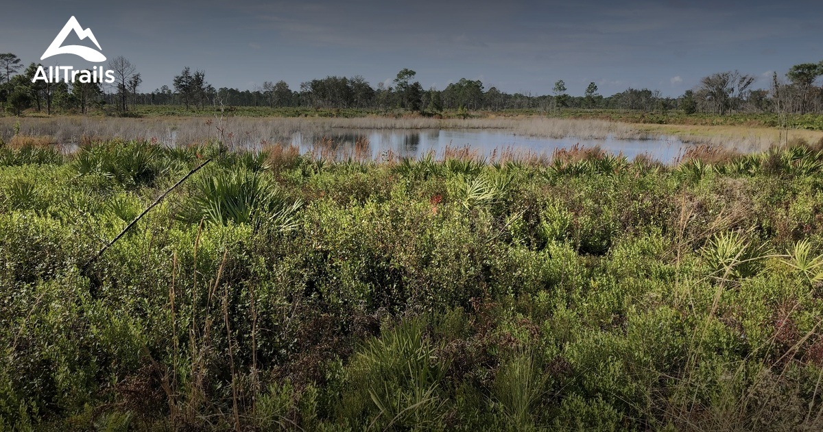 Best trail running trails in Rock Springs Run State Reserve | AllTrails
