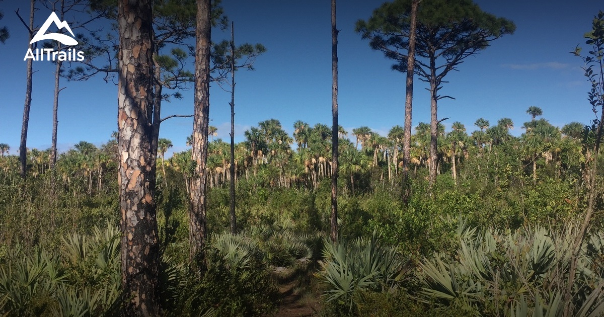 Best hikes and trails in Seabranch Preserve State Park | AllTrails