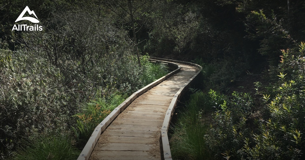 Best Trails in Tomales Bay State Park - California | AllTrails