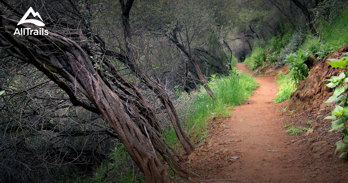 Best Trails in Topanga State Park - California | AllTrails