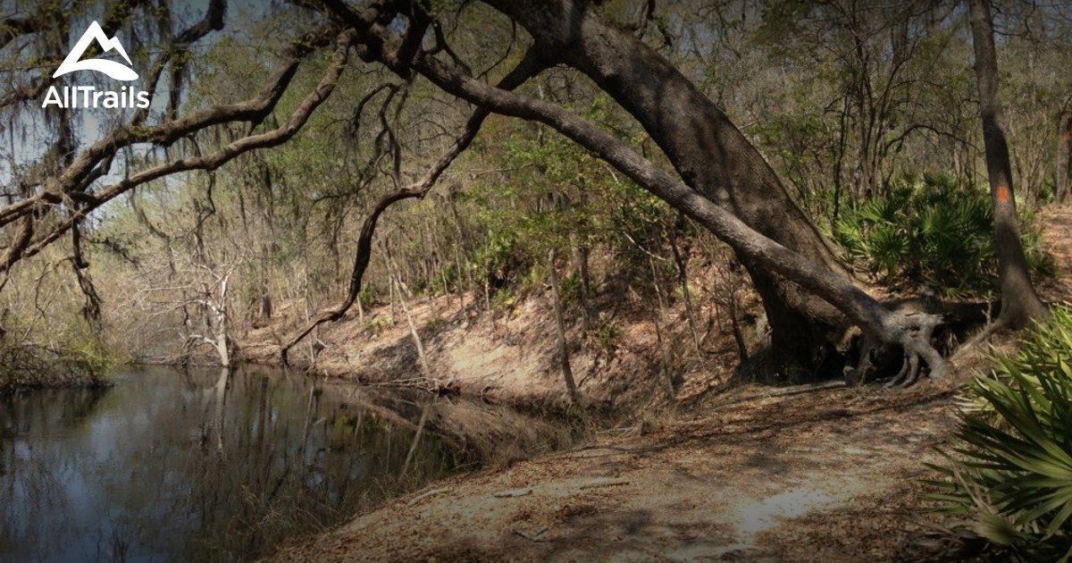 Best Trails in Stephen Foster Folk Culture Center State Park - Florida ...