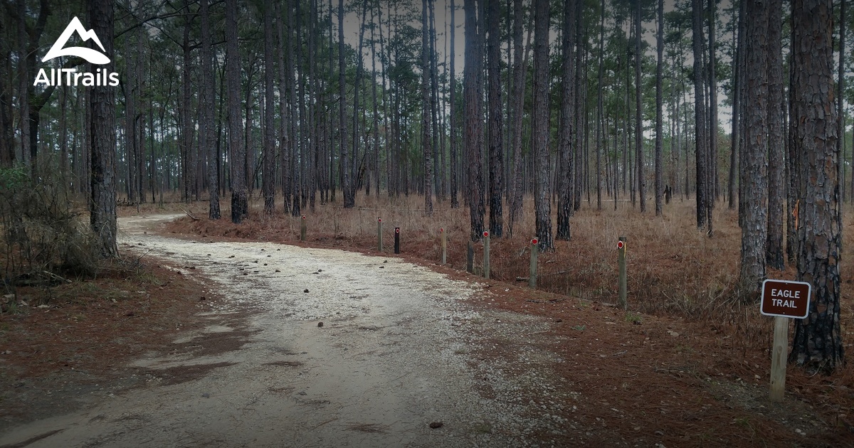 Best Trails in Three Rivers State Park - Florida | AllTrails