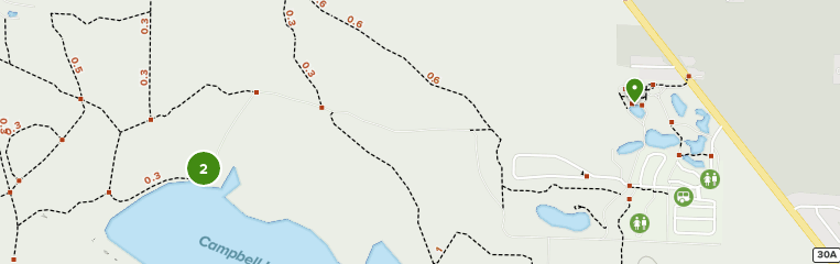 Best Trails in Topsail Hill Preserve State Park | AllTrails