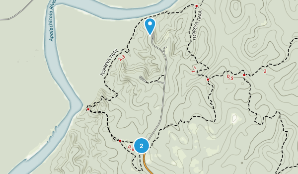 Best Trails in Torreya State Park - Florida | AllTrails