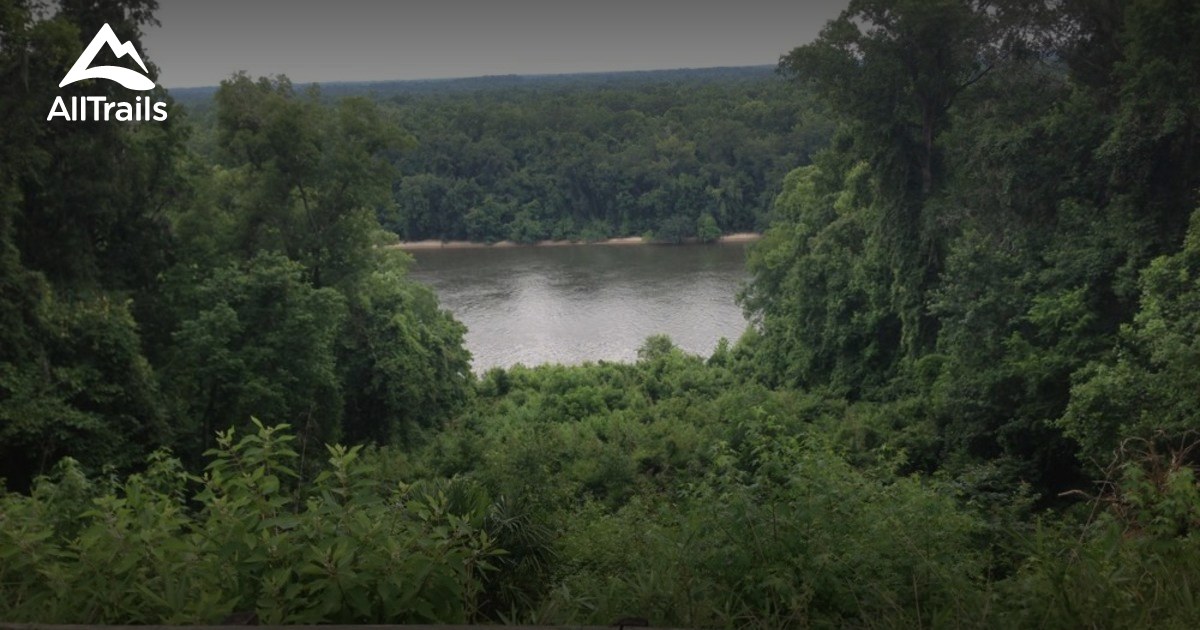 Best Trails in Torreya State Park - Florida | AllTrails