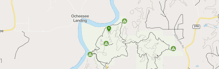 Best Trails in Torreya State Park - Florida | AllTrails