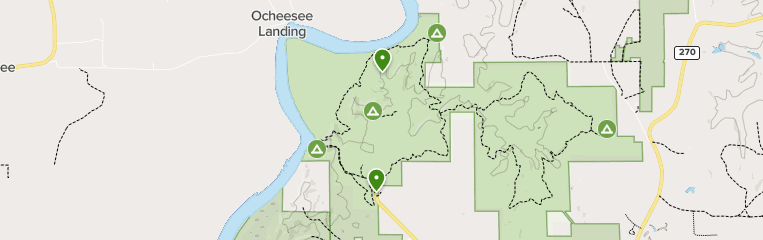 Best Trails in Torreya State Park | AllTrails