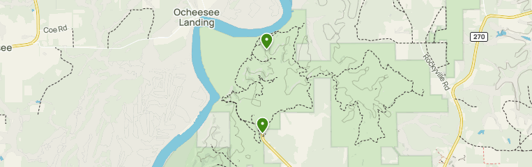 Best Hikes and Trails in Torreya State Park | AllTrails