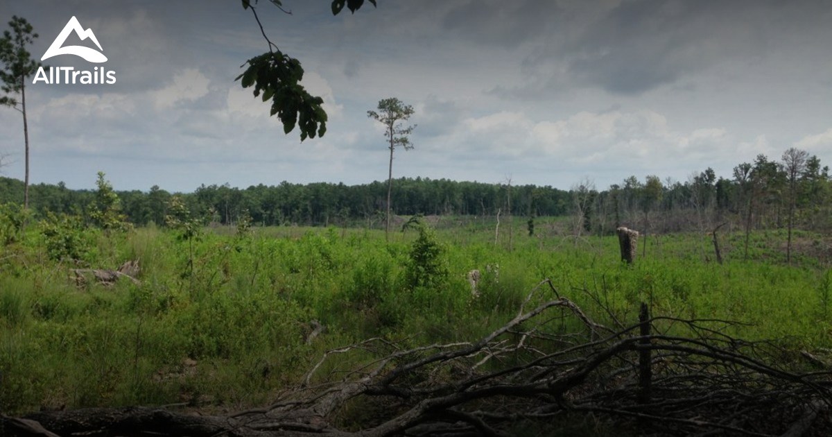 Best Trails in F.D. Roosevelt State Park - Georgia | AllTrails