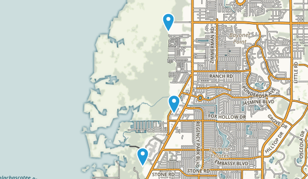 Best Trails in Werner-Boyce Salt Springs State Park - Florida | AllTrails