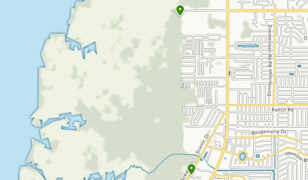 Best Trails in Werner-Boyce Salt Springs State Park - Florida | AllTrails