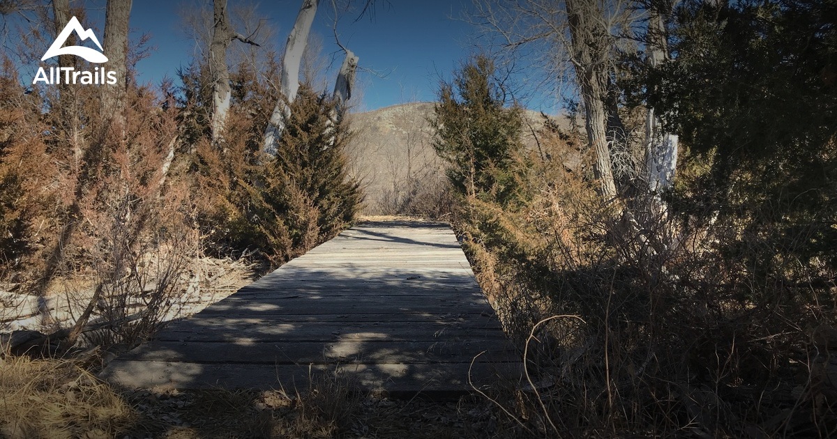 Best hikes and trails in Cedar Bluff State Park | AllTrails