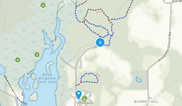 Best Trails in Reed Bingham State Park - Georgia | AllTrails