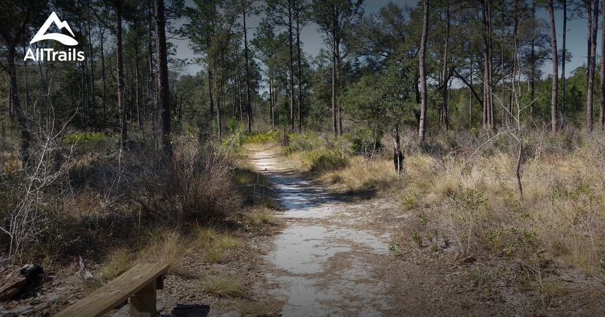 Best hikes and trails in Reed Bingham State Park | AllTrails