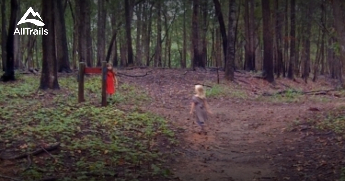 Best hikes and trails in Tugaloo State Park | AllTrails