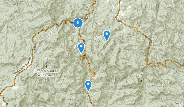 Best Trails in Vogel State Park | AllTrails.com