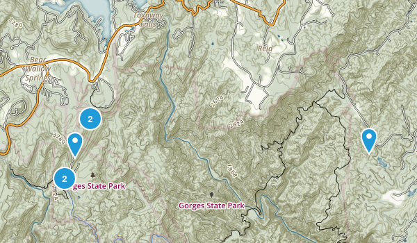 Best Trails in Gorges State Park - North Carolina | AllTrails