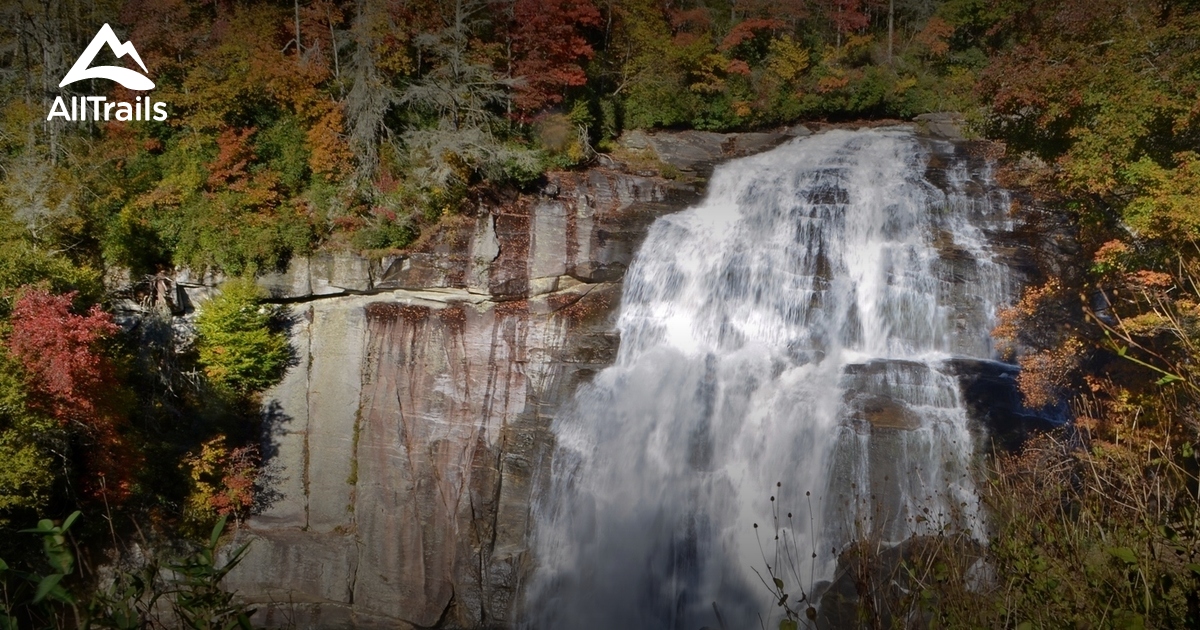 Best Trails in Gorges State Park - North Carolina | AllTrails