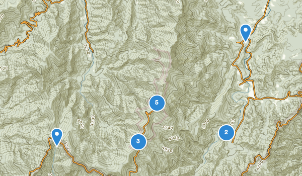 Best Trails in Mount Mitchell State Park | AllTrails.com