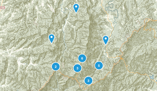 Best Trails in Mount Mitchell State Park - North Carolina | 830 Photos ...