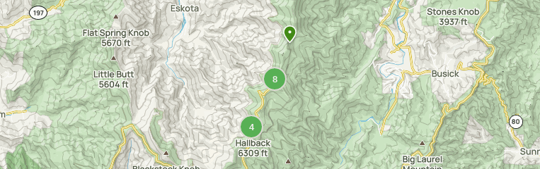 Best 10 Hikes and Trails in Mount Mitchell State Park | AllTrails