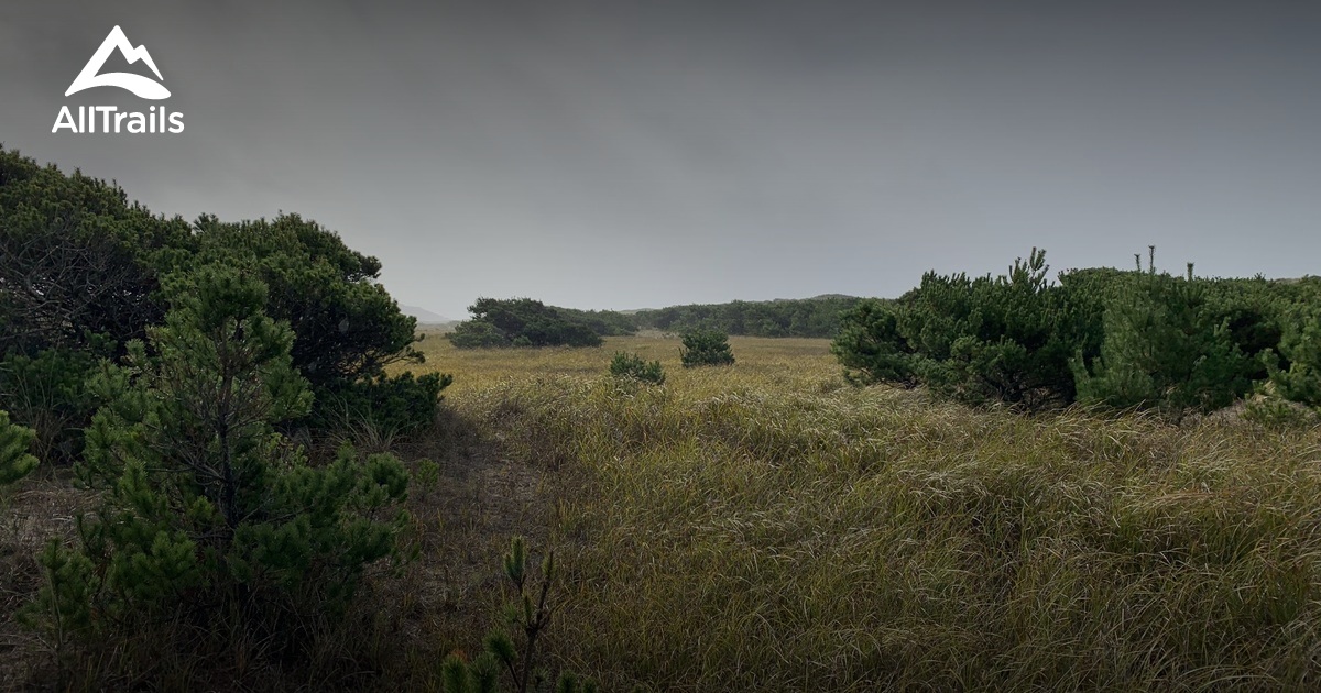 Best Trails in Bob Straub State Park - Oregon | AllTrails