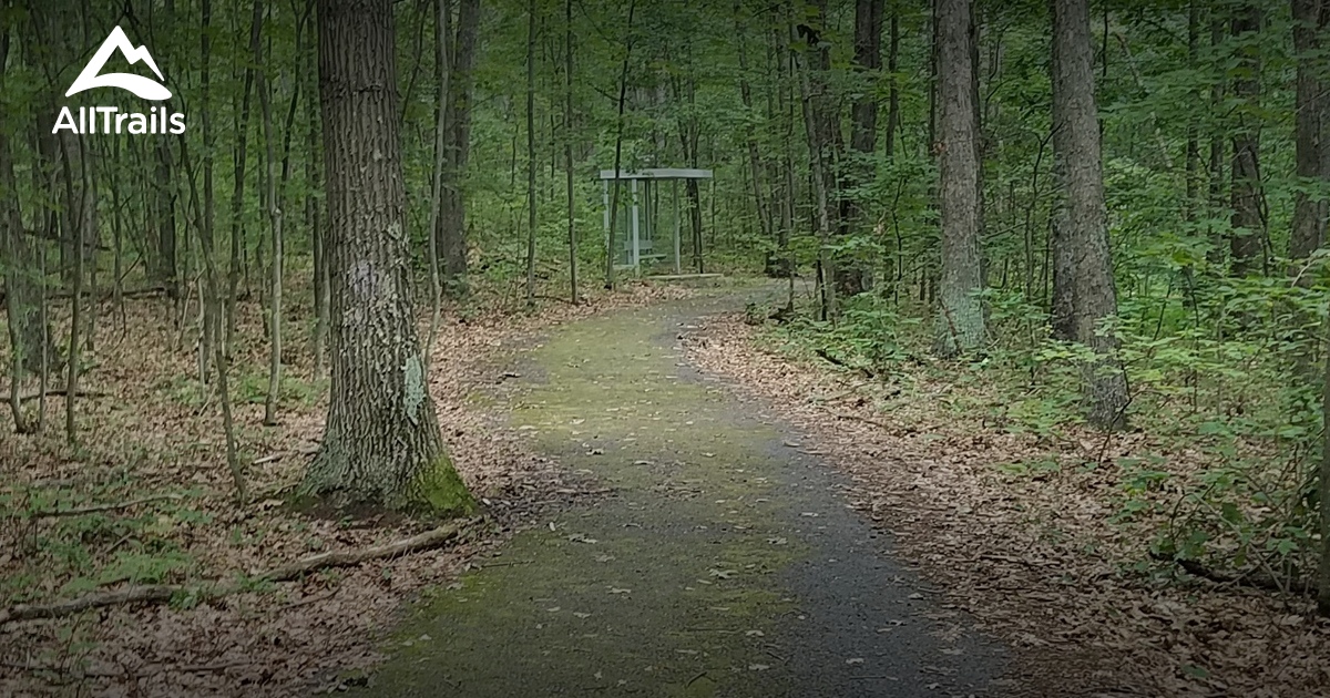 Archbald Pothole State Park: Die besten Routen zum Wandern | AllTrails