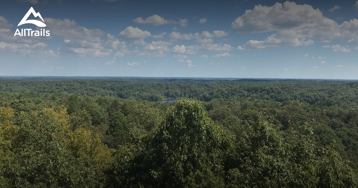 Best hikes and trails in Big Hill Pond State Park | AllTrails