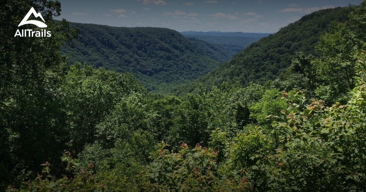 Best Trails in Babcock State Park - West Virginia | AllTrails