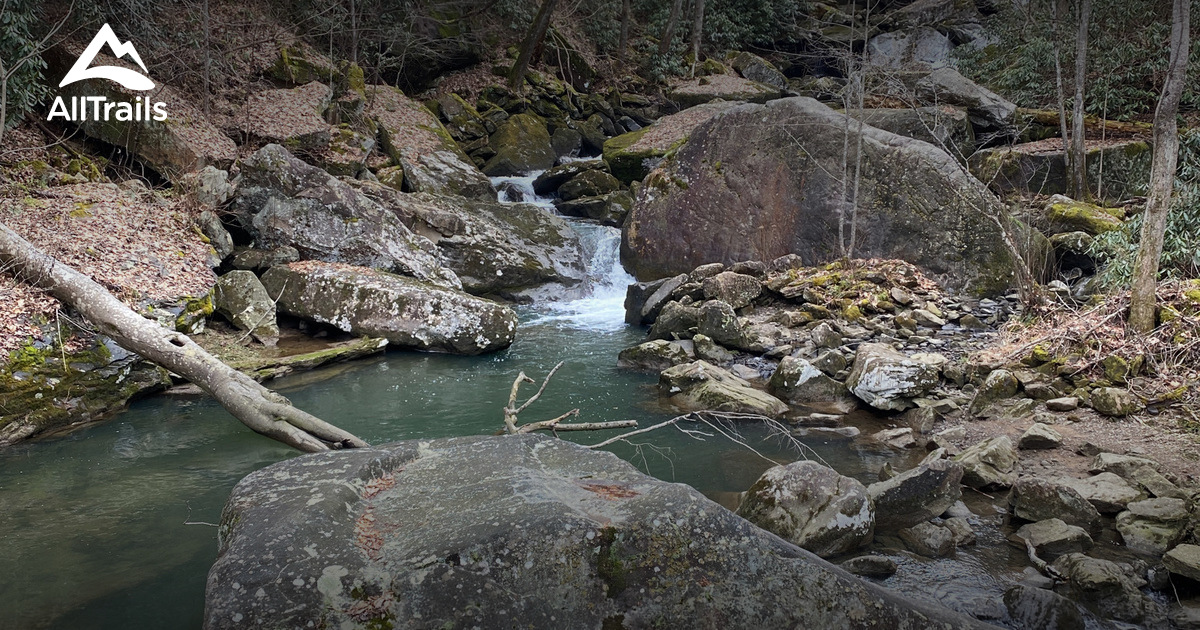 Best Trails in Babcock State Park - West Virginia | AllTrails