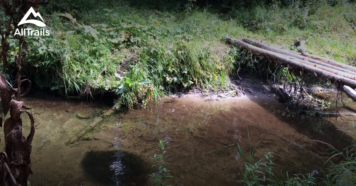 Best Hikes And Trails In Winchester Lake State Park Alltrails