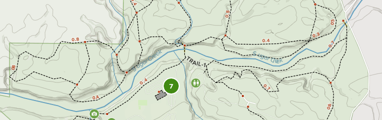 Best Trails in Turkey Run State Park - Indiana | AllTrails