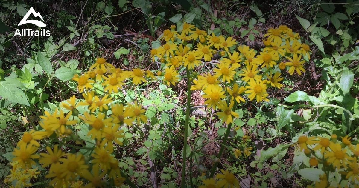 Best hikes and trails in Hidden Springs | AllTrails