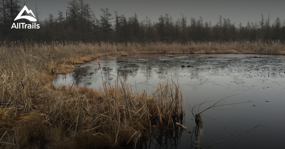 Best Trails in Volo Bog State Natural Area - Illinois | AllTrails