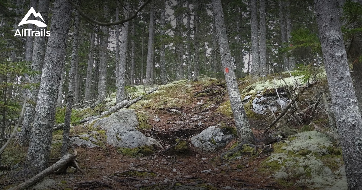 Best Trails in Holbrook Island Sanctuary - Maine | AllTrails